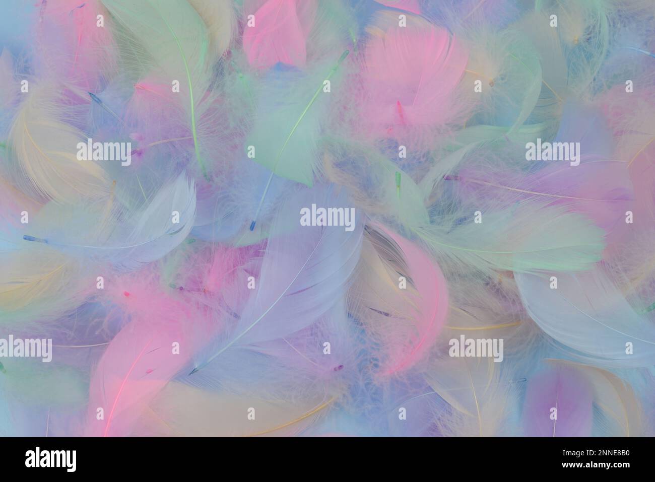 Angel wings feathers hi-res stock photography and images - Alamy