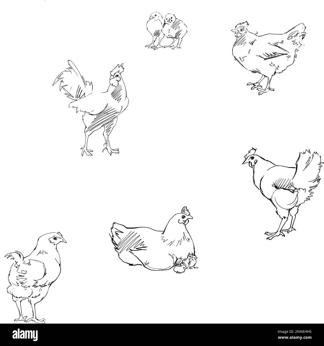 Seamless chick pattern Black and White Stock Photos & Images - Alamy