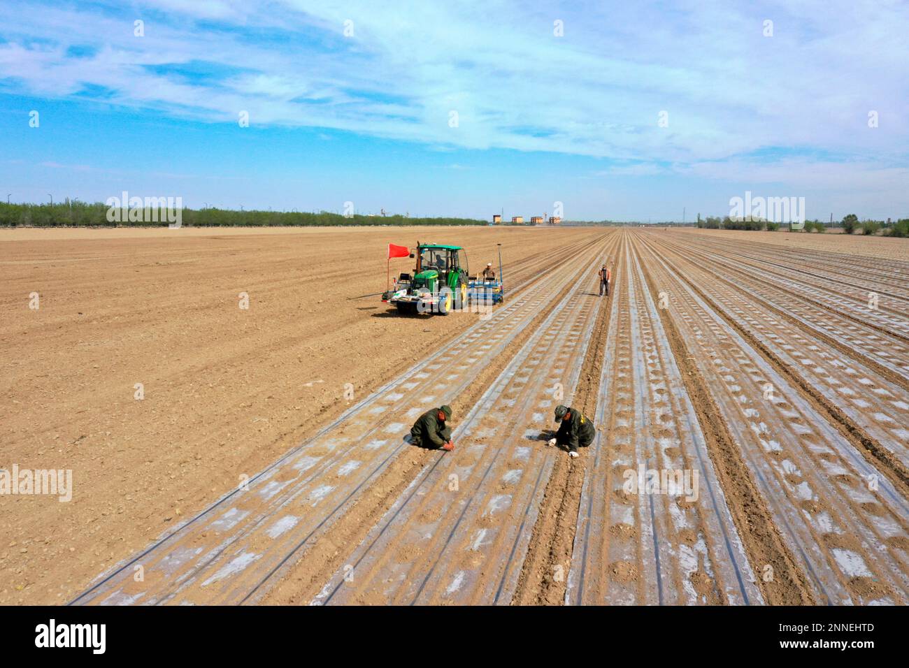 The 770,000 acres of cotton fields complete seed sowing in Shuanghe ...
