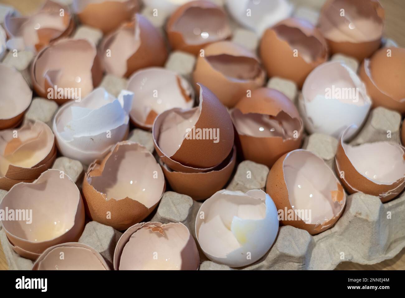 Broken egg shells in large carton box Stock Photo - Alamy