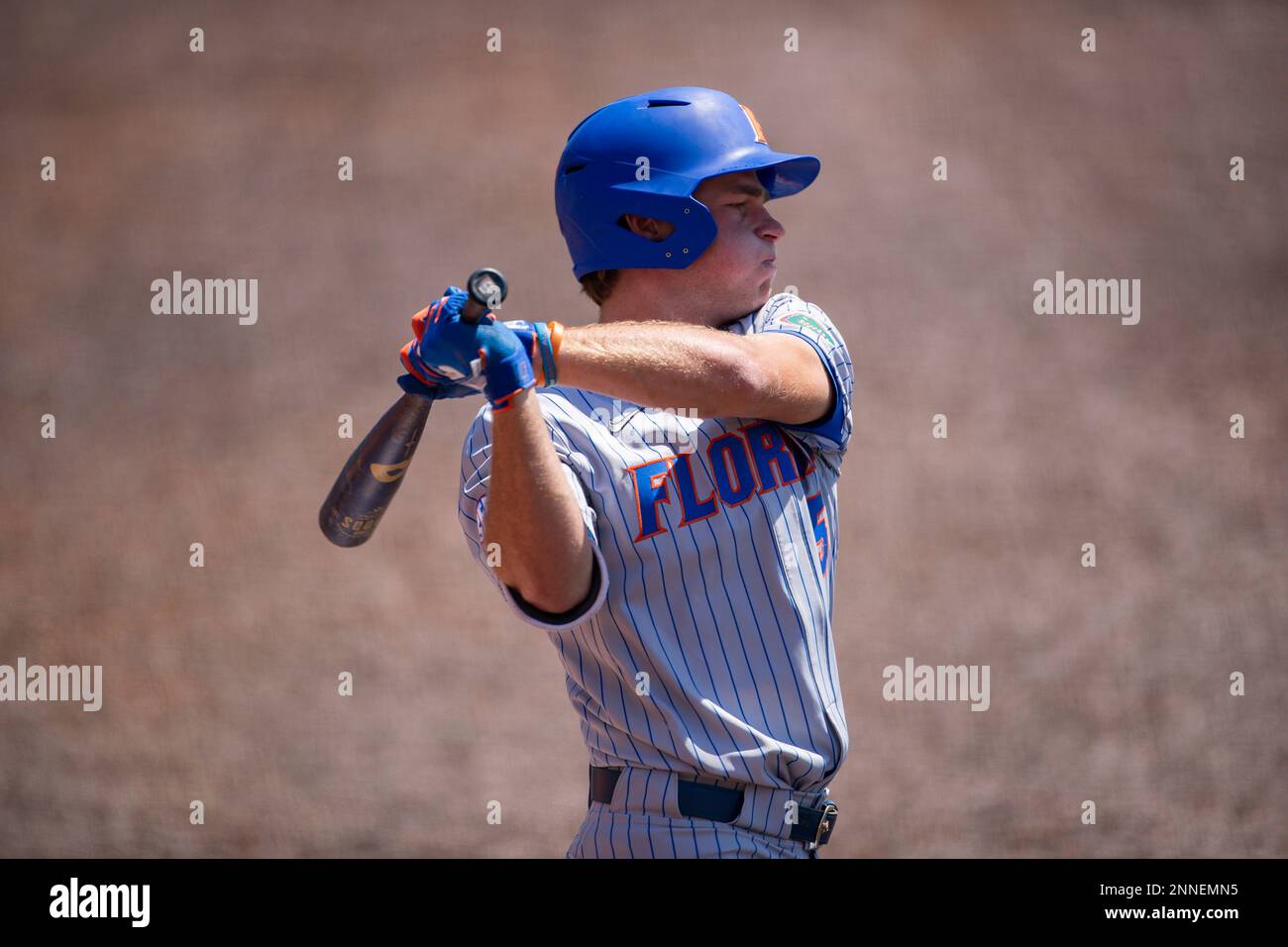 Florida Gators third baseman Colby Halter (5) on deck against the ...