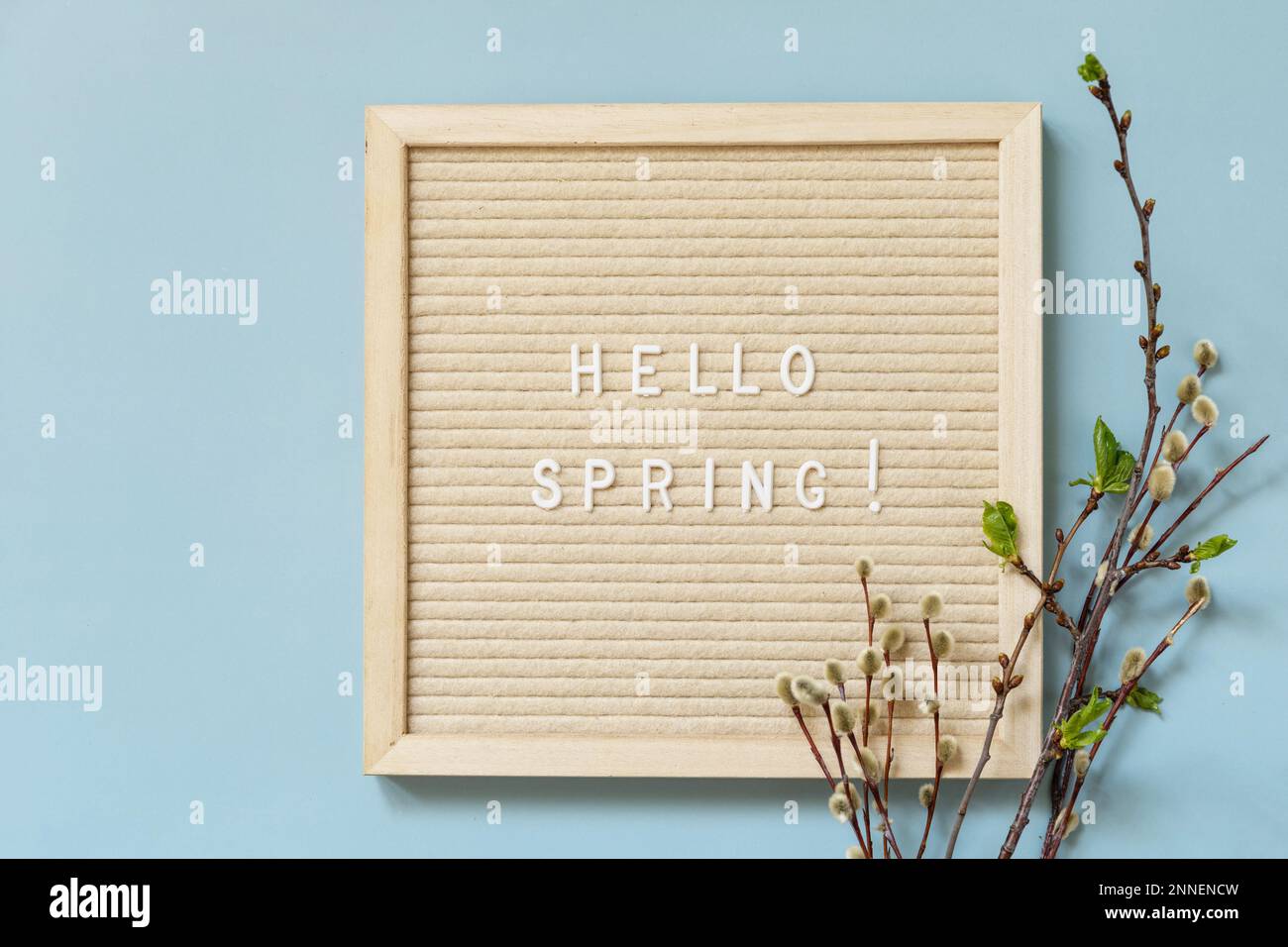 Letter Board with quote HELLO SPRING and with green branches on a blue ...