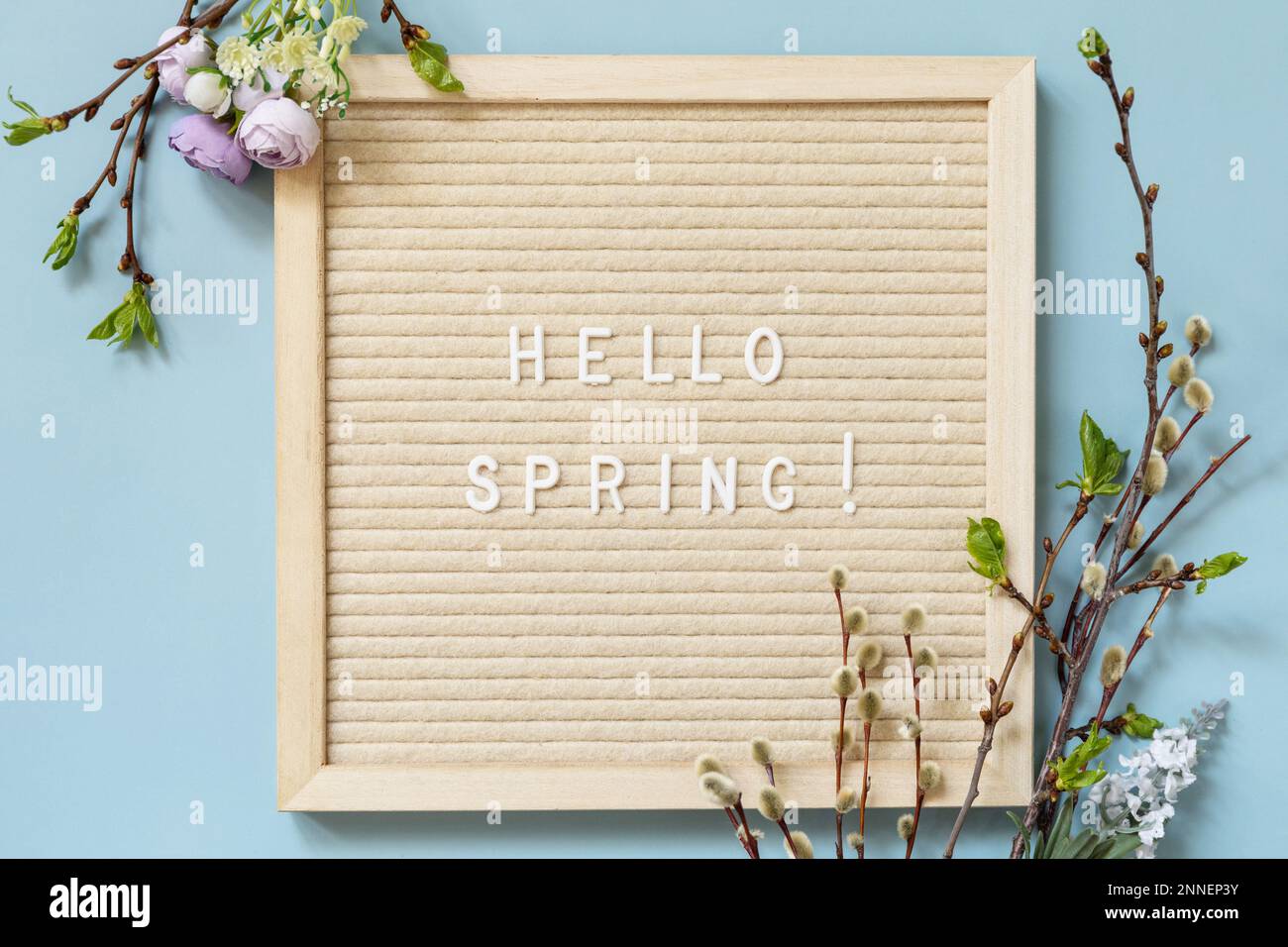 Letter Board with quote HELLO SPRING, with green branches and flowers ...
