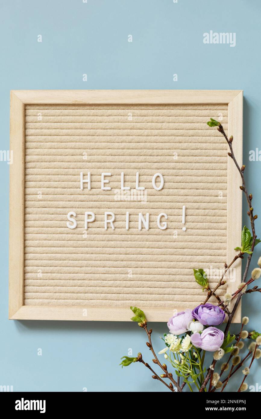 Letter Board with quote HELLO SPRING, with green branches and flowers ...
