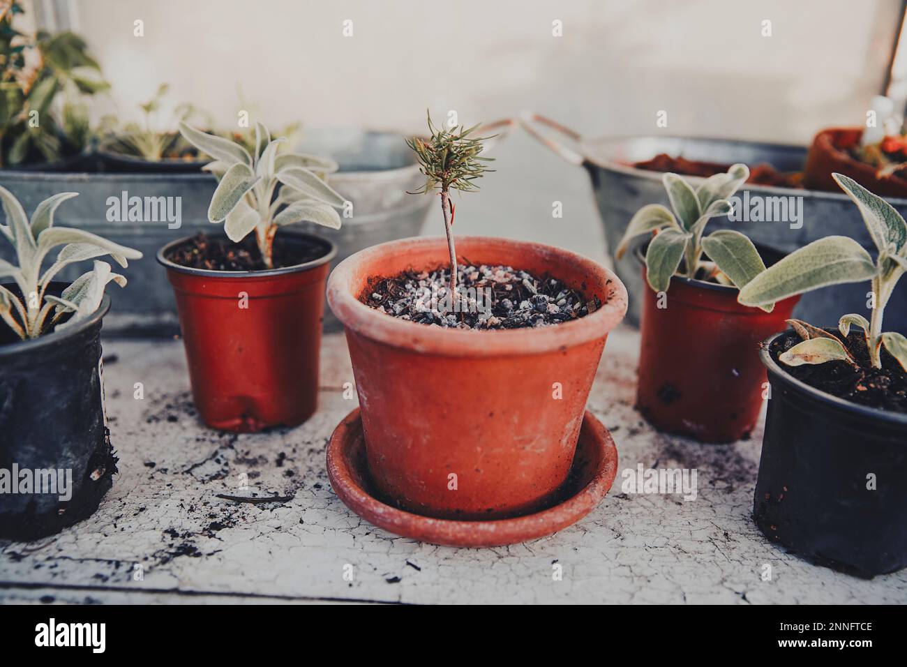 Middlebank scenes winter hi-res stock photography and images - Alamy