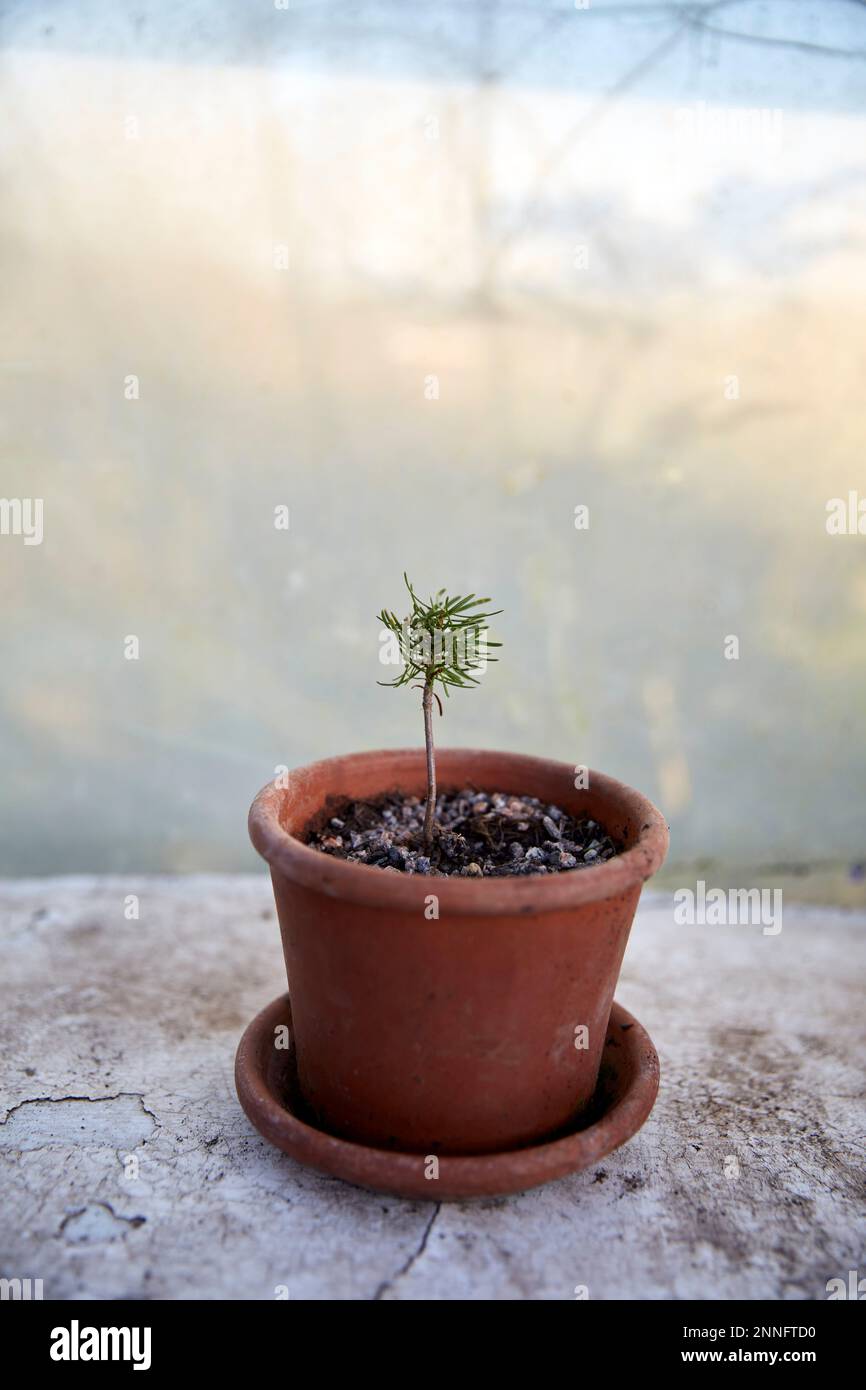 Middlebank hi-res stock photography and images - Alamy