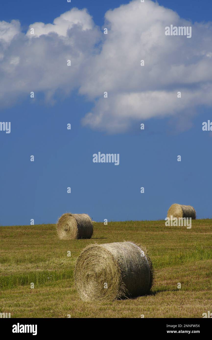 Hay bales in clear hi-res stock photography and images - Alamy