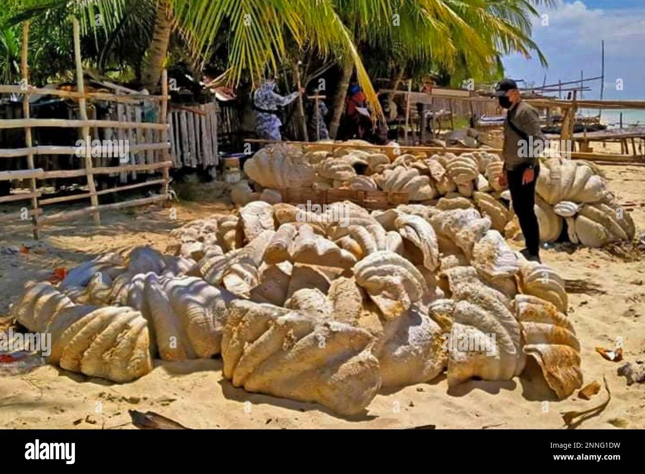 In this photo provided by the Philippine Coast Guard, a man stands ...
