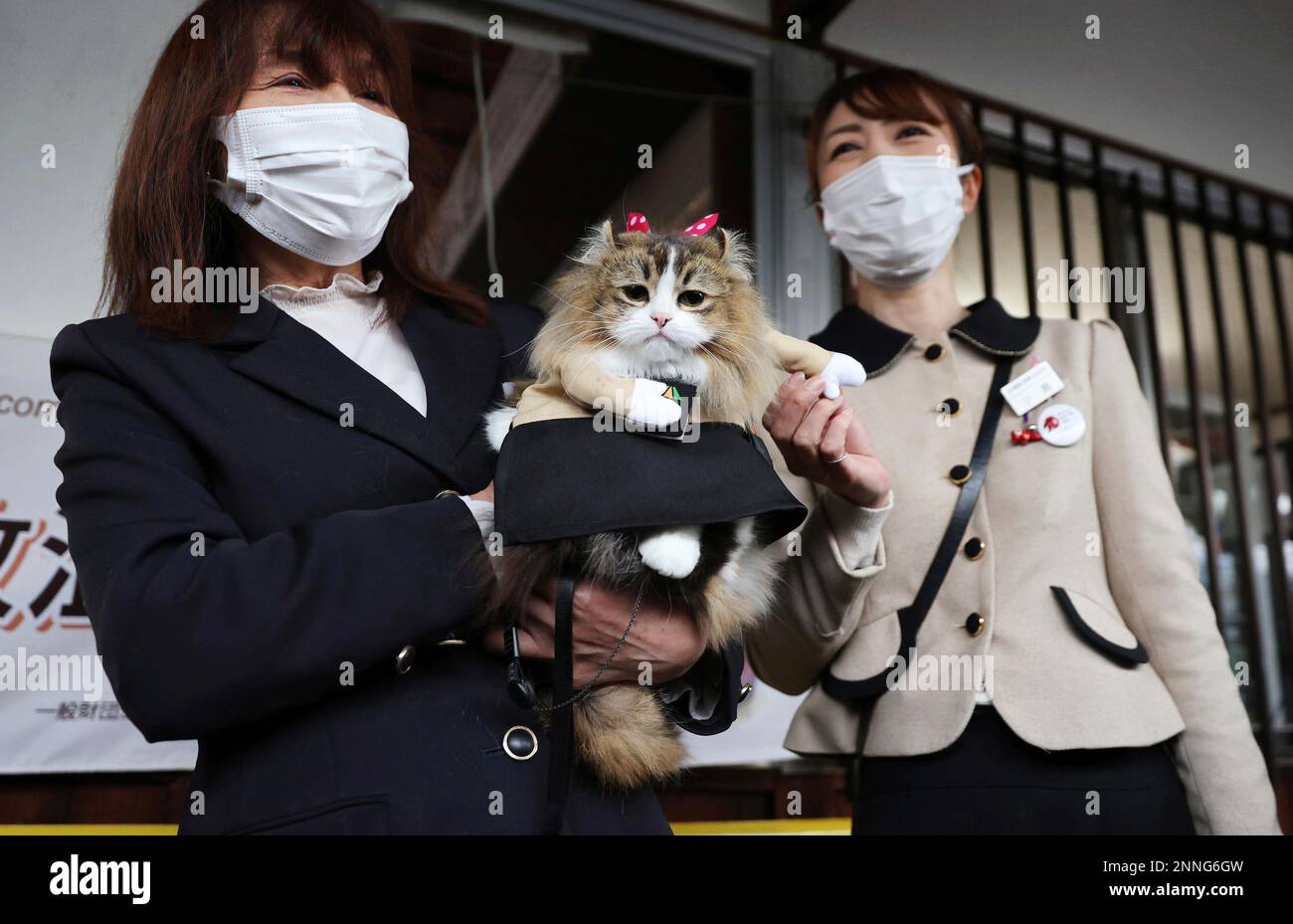 A cat "Sakura" becomes an attendant at Ashinomaki Onsen Station of Aizu ...