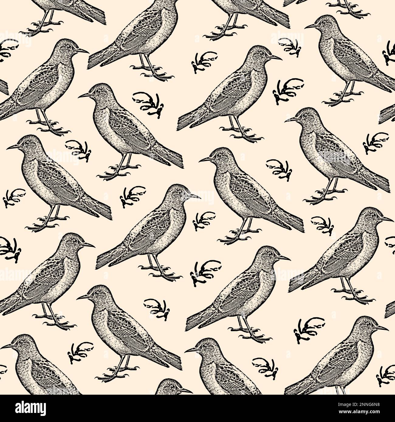 Engraving hand drawn birds sketch pattern. Black starlings on ...