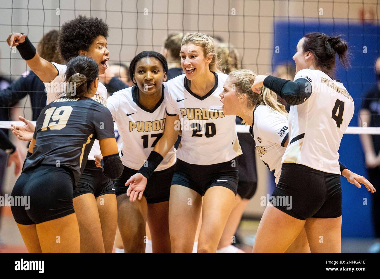 Purdue's Jena Otec, Emma Ellis, Taylor Trammell, Grace Cleveland and ...