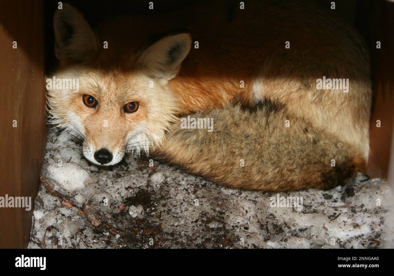 FILE - In this undated file photo provided by the California Department ...