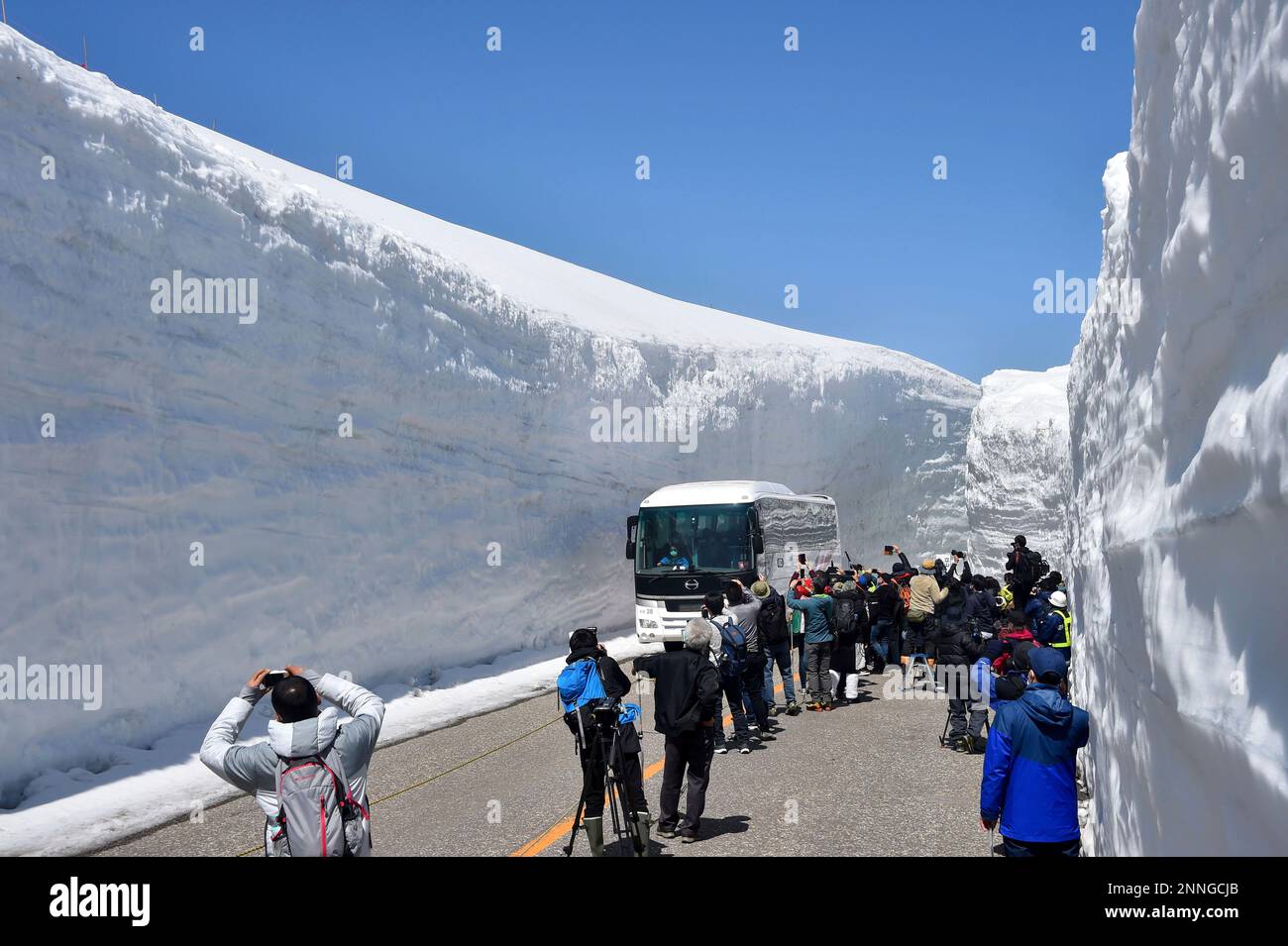 Sightseers visit the Yukino Otani (great snow valley) to marvel at its ...