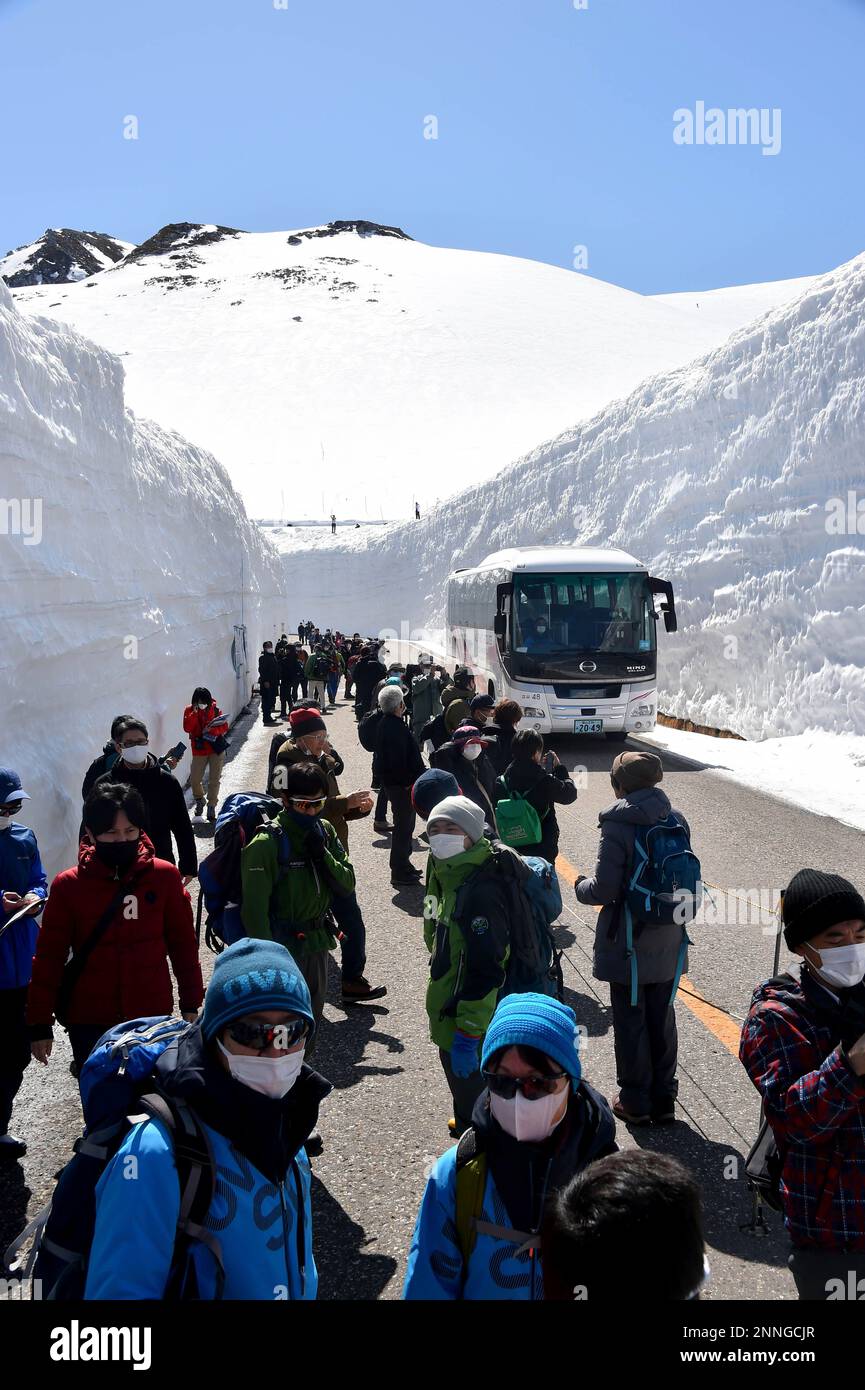 Sightseers visit the Yukino Otani (great snow valley) to marvel at its ...