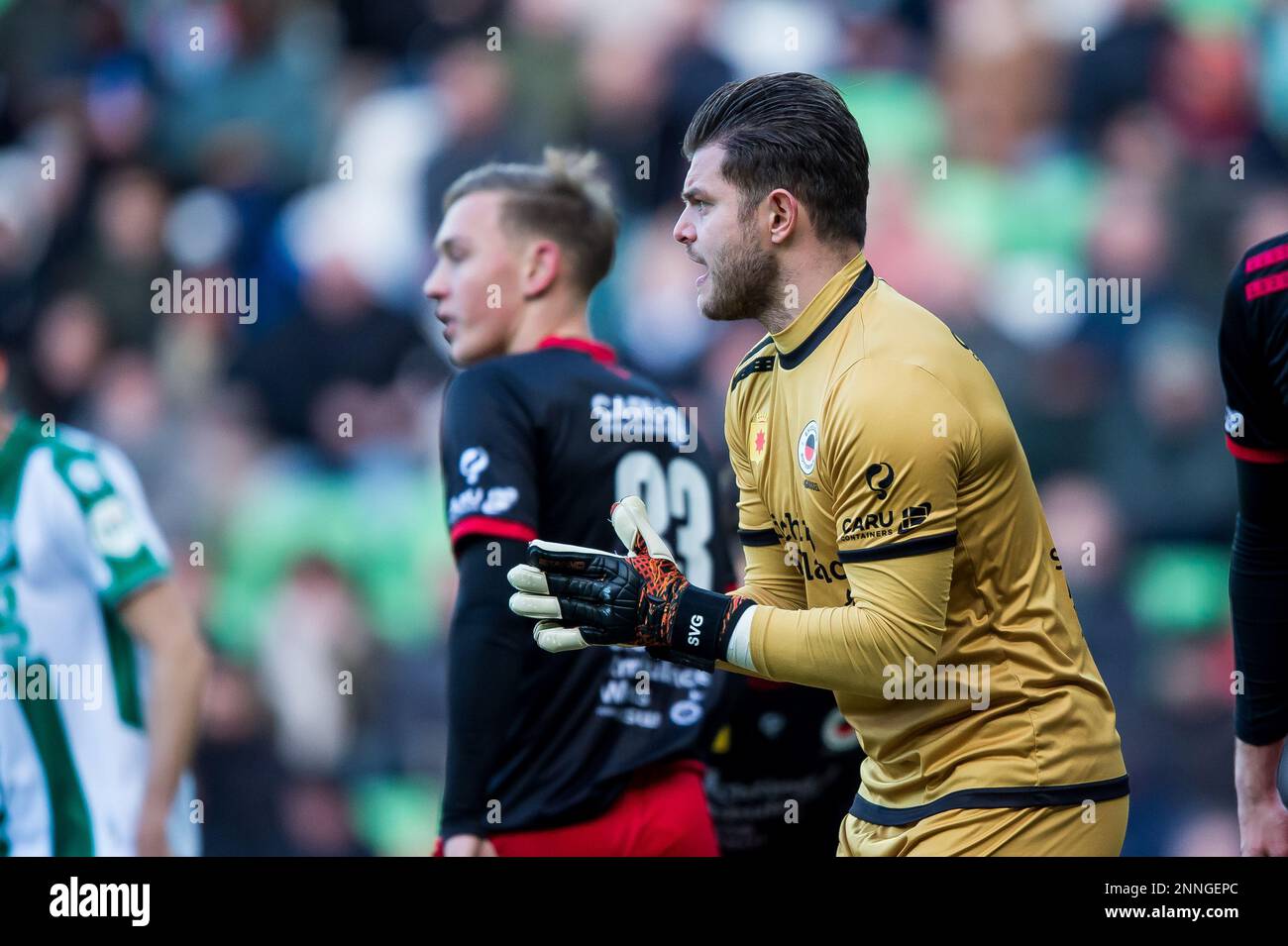 Goalkeeper stijn van gassel of excelsior rotterdam hi-res stock ...