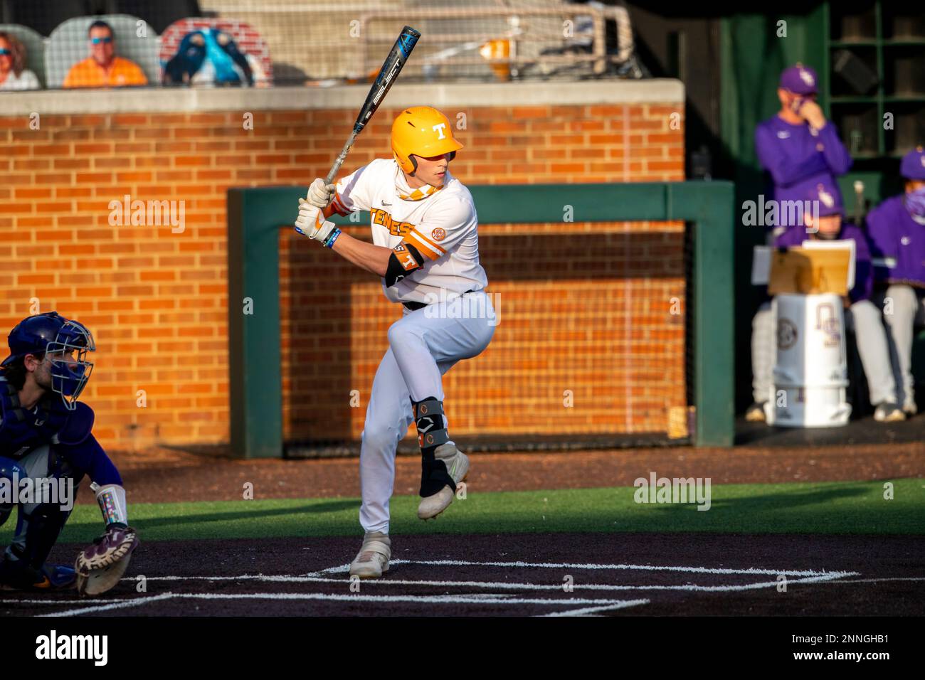 Tennessee Volunteers third baseman Jake Rucker (7) at bat against the ...