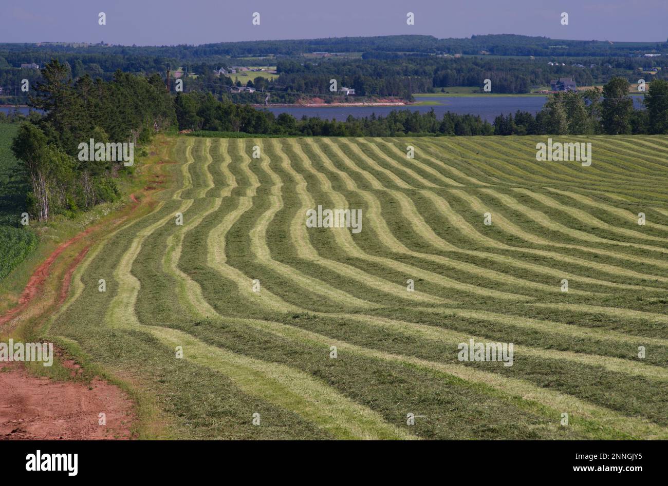 Patterns appear in mowed grass, across a valley Stock Photo - Alamy