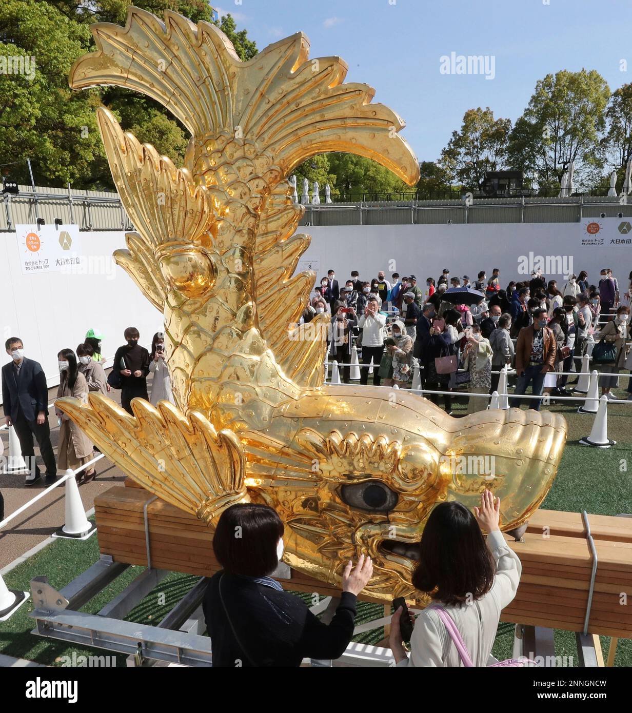 Kinshachi (Kin no shachihoko), a Golden Tiger Fish Roof Ornament, is ...