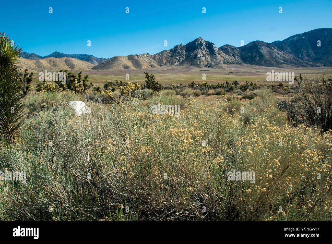State Route 178 is a beautiful road that runs through the Kern River ...