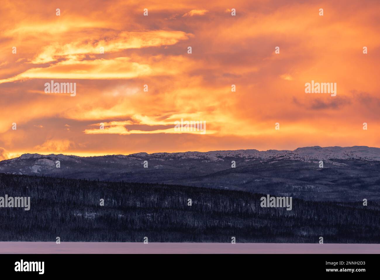 Snow capped mountains with amazing sunset clouds above boreal forest ...