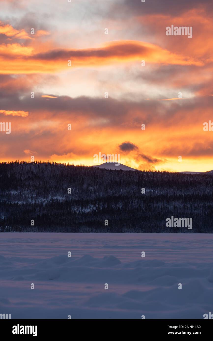 Snow capped mountains with amazing sunset clouds above boreal forest ...