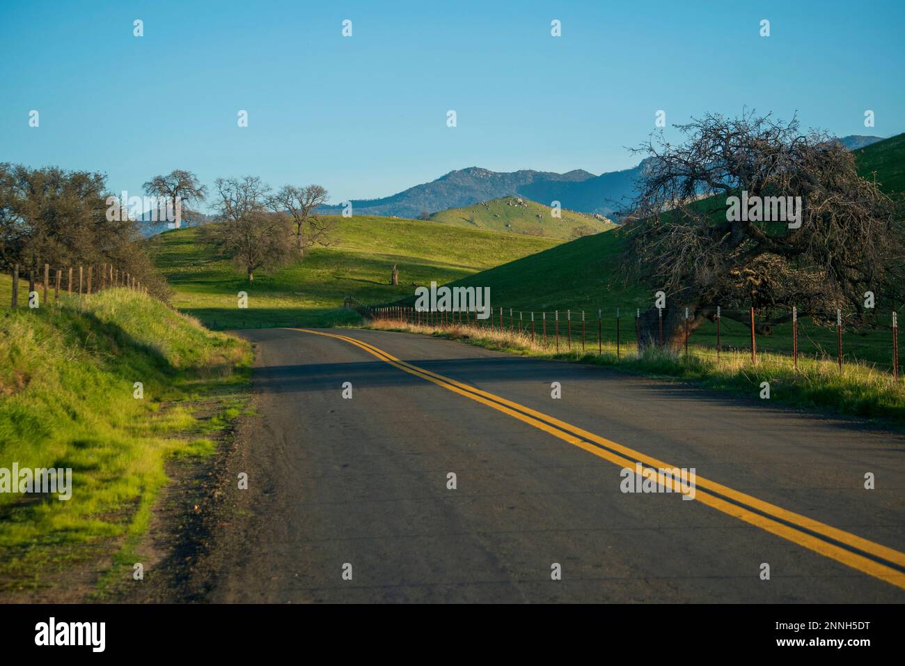 Tulare County roads are incredibly beautiful in the springtime on the ...