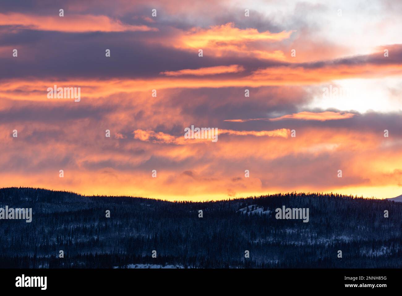 Snow capped mountains with amazing sunset clouds above boreal forest ...