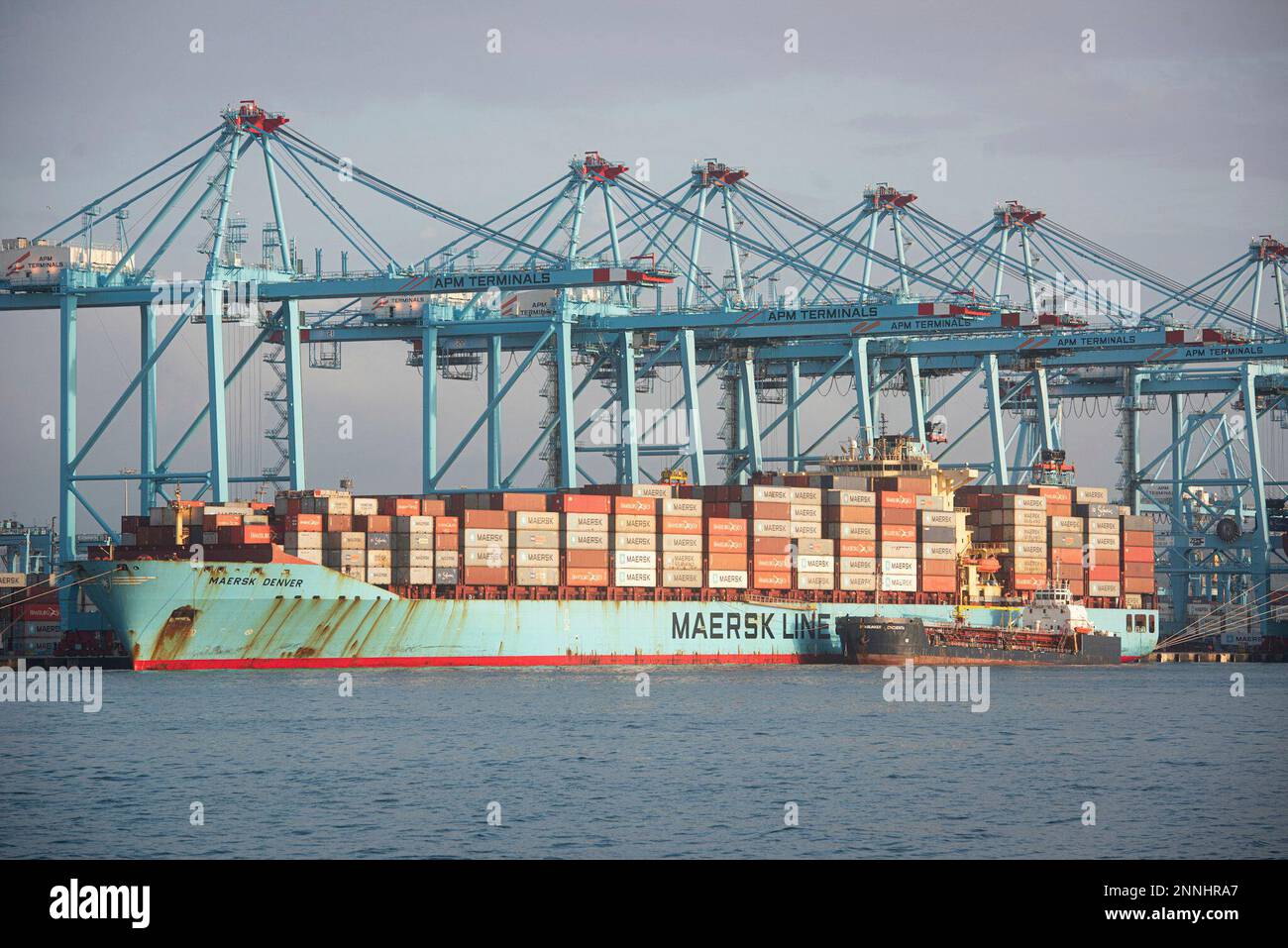 The vessels ,Maersk Denver and Mary Maersk, at the APM terminal ...