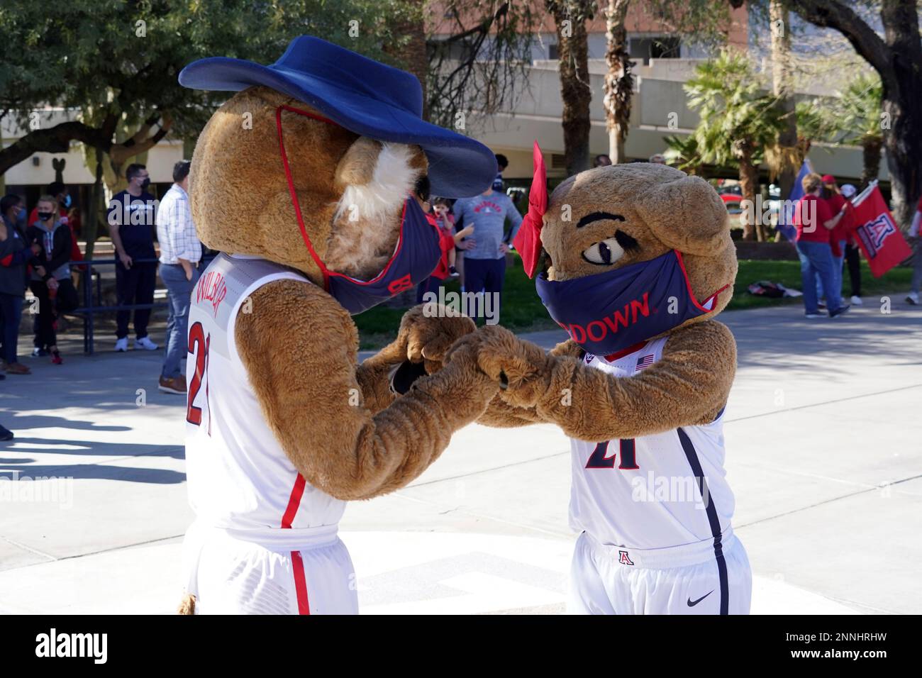 Arizona Wildcats mascots Wilbur and Wilma greet the women's basketball ...