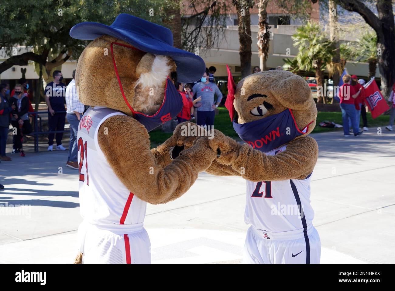 Arizona Wildcats mascots Wilbur and Wilma greet the women's basketball ...