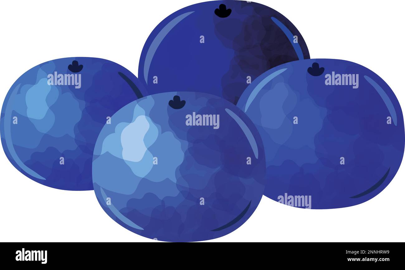 blueberries fruit icon Stock Vector Image & Art - Alamy