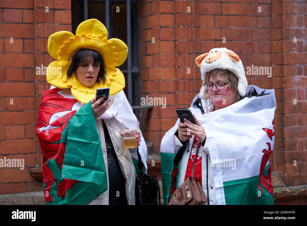 Rugby face paint hi-res stock photography and images - Alamy