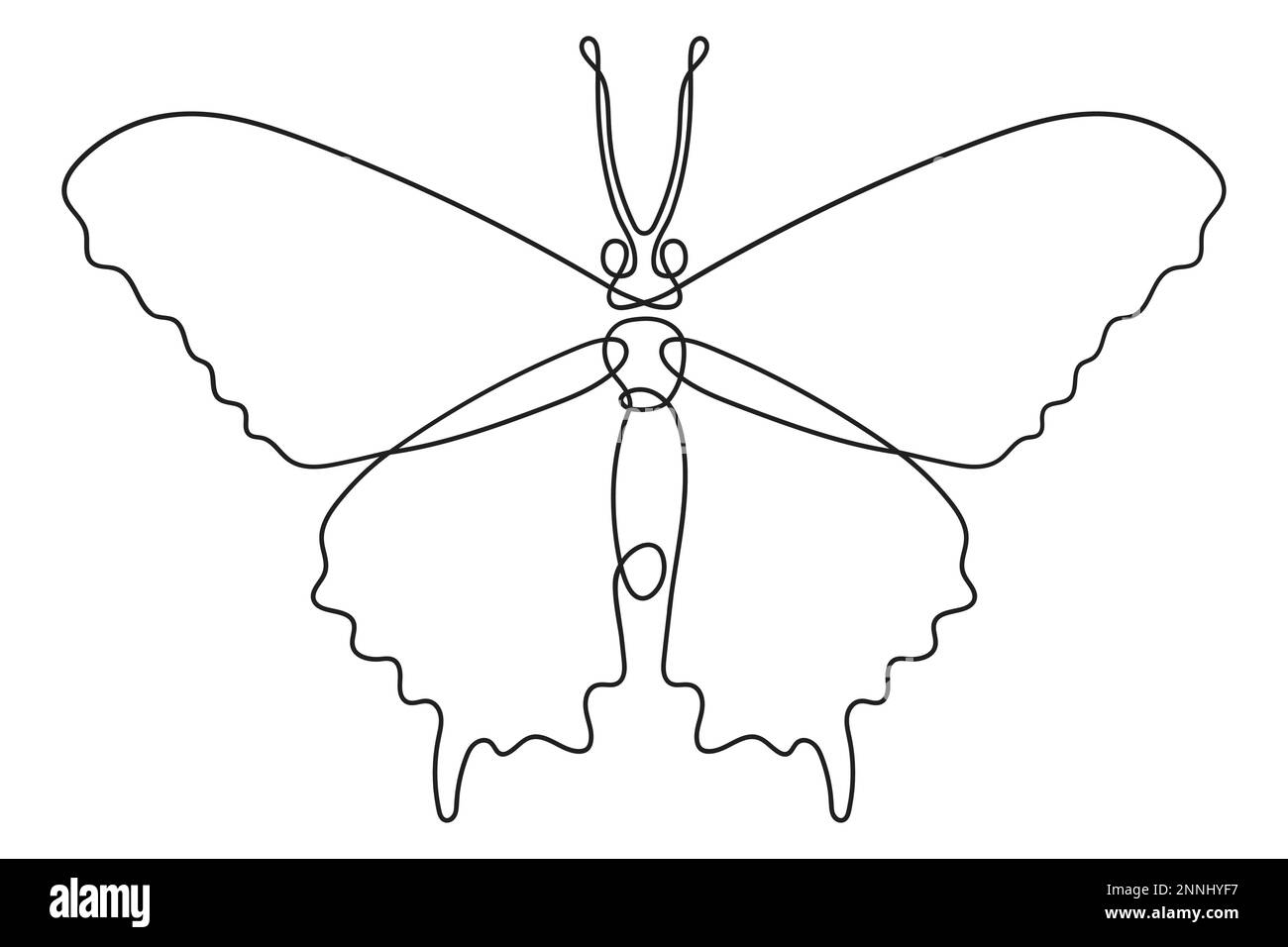 Monarch butterfly line drawing Cut Out Stock Images & Pictures - Alamy