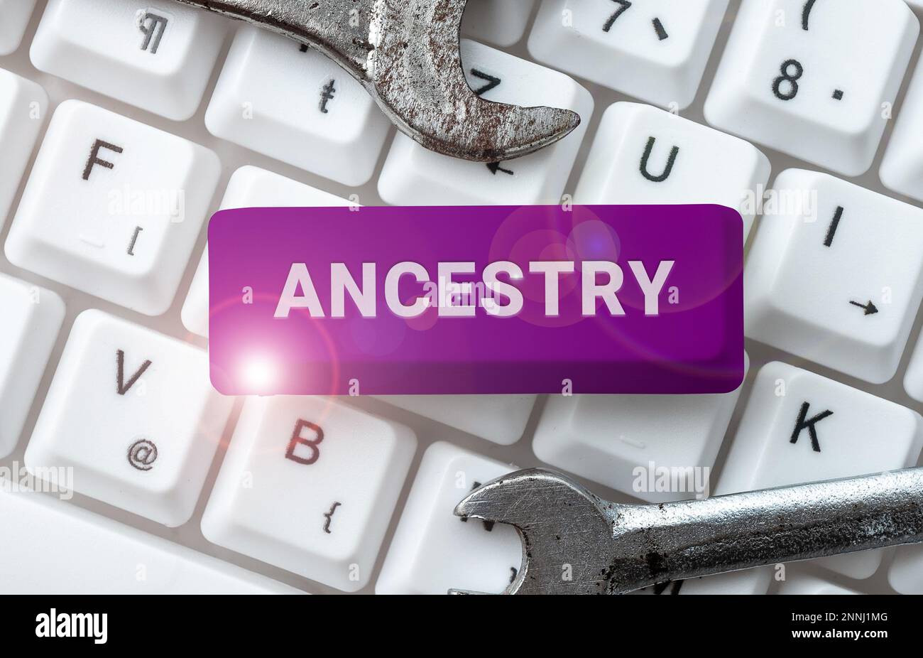 Sign displaying Ancestry. Concept meaning the history or developmental ...