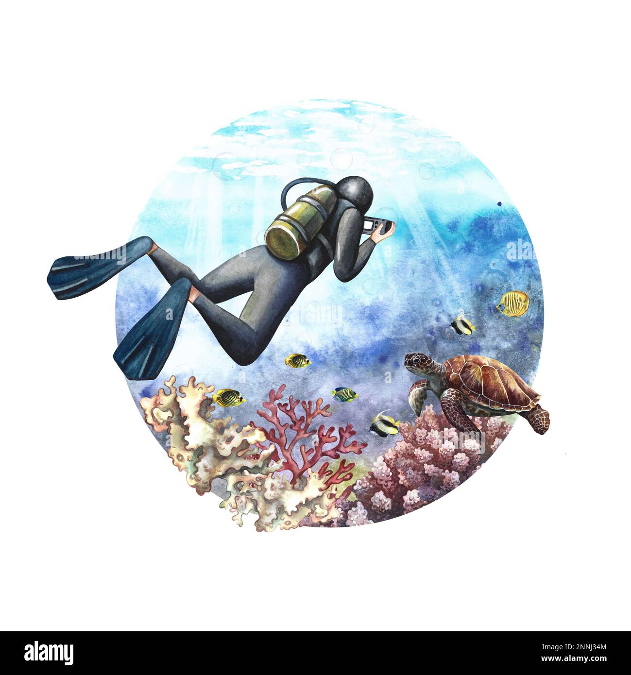 The diver swims underwater at the bottom of the sea. Underwater travel ...