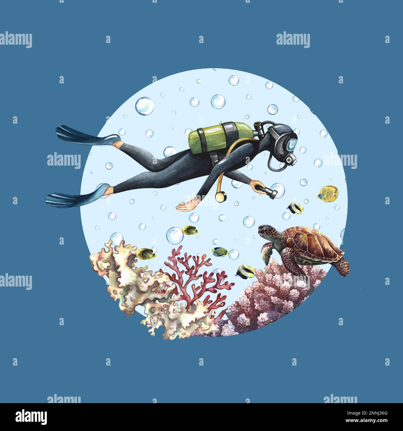 The diver swims underwater at the bottom of the sea. Underwater travel ...