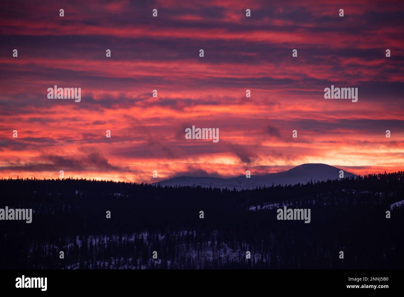 Beautiful sunset views in the wilderness of northern Canada. Bright ...