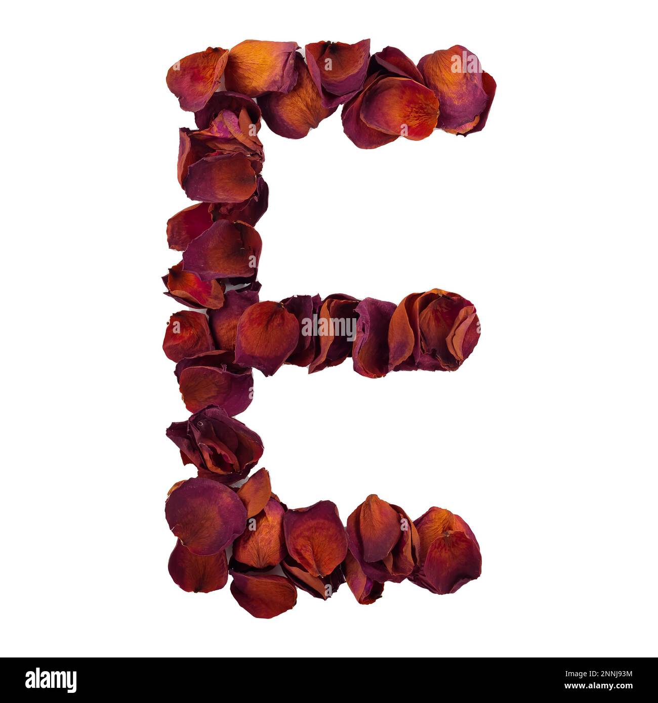 Letter E from dry red rose petals, isolated on white background. Nature ...