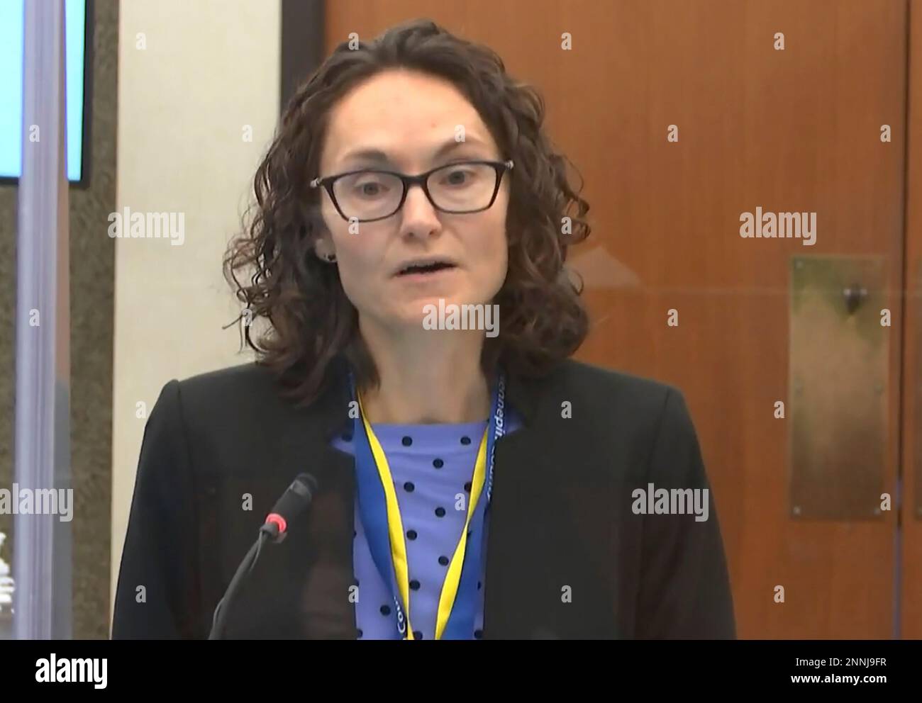 In this image from video, prosecutor Erin Eldridge questions a witness as Hennepin County Judge ...