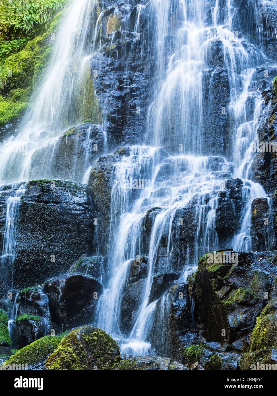 Fairy Falls, Columbia River Gorge National Scenic Area, Oregon Stock Photo - Alamy