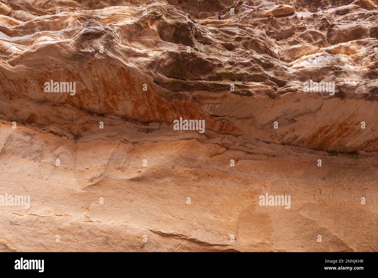 Rock Overhang Detail at Shawnee National Forest Stock Photo - Alamy