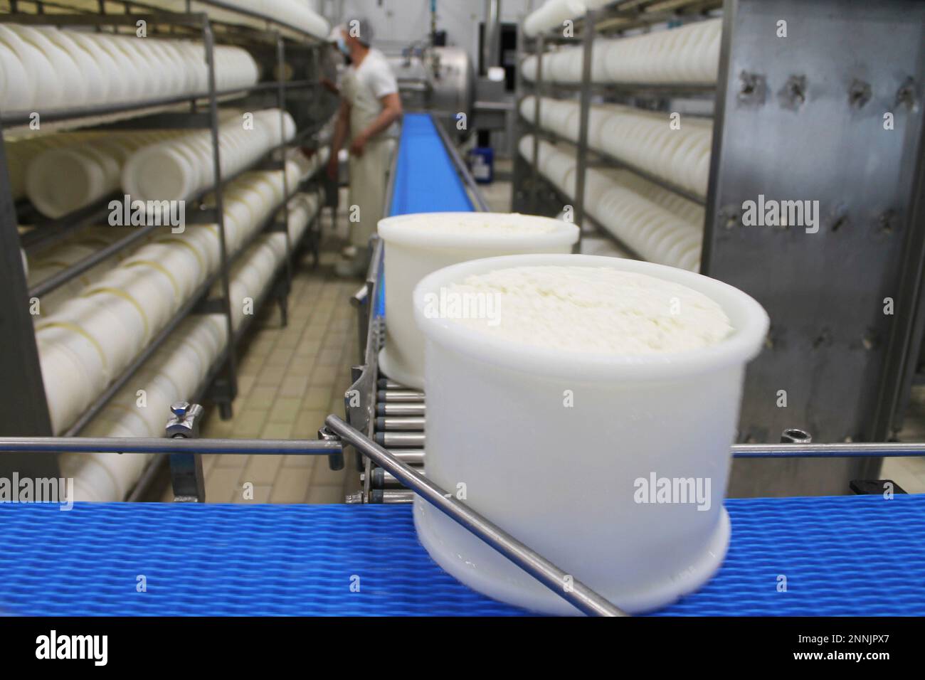 Tour of the cheese in the processing room before entering the Brine ...