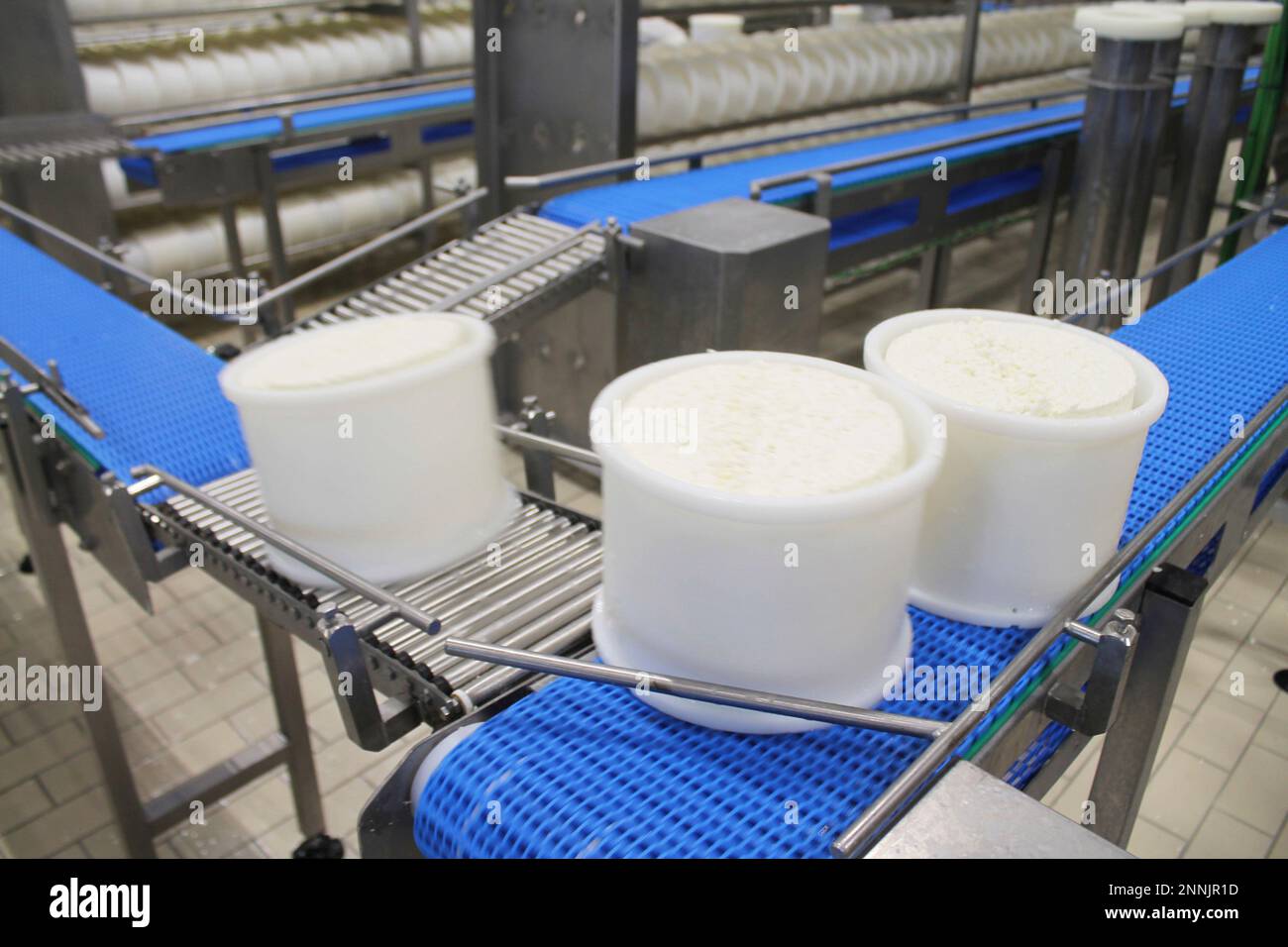 Tour of the cheese in the processing room before entering the Brine ...
