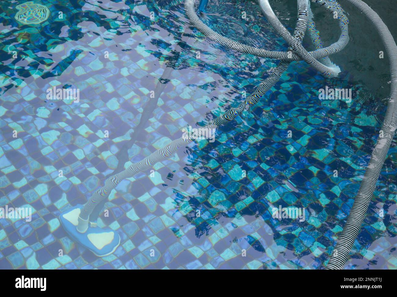 Man cleaning swimming pool with vacuum tube cleaner. Weekly pool ...