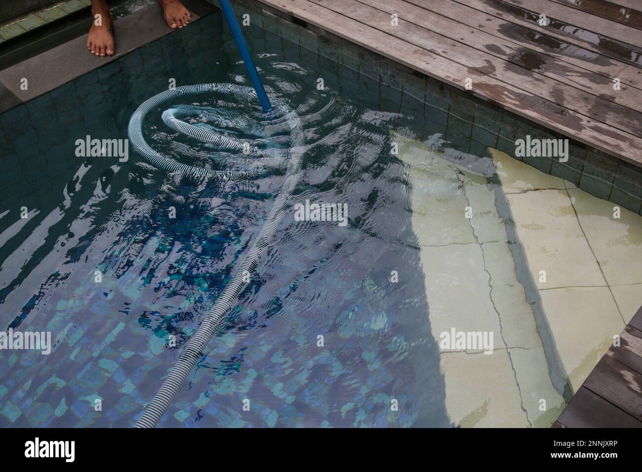 Man cleaning swimming pool with vacuum tube cleaner. Weekly pool ...