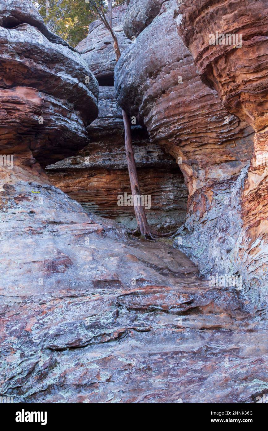 Tenacity hi-res stock photography and images - Alamy