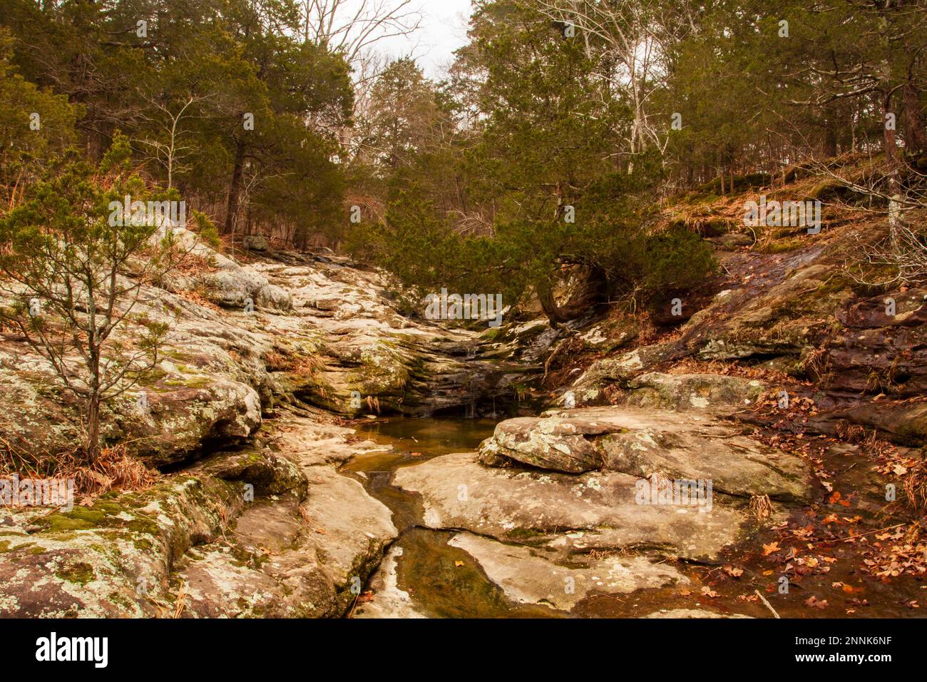 Dry Waterfall in Shawnee National Forest Stock Photo - Alamy