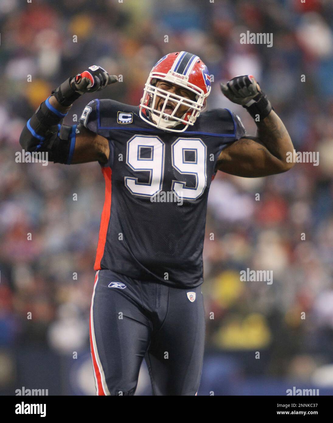 14 November 2010: Buffalo Bills defensive tackle Marcus Stroud (99 ...