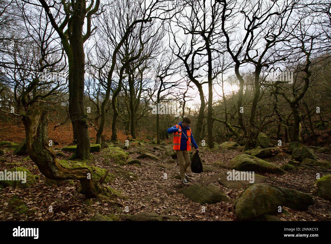 Litter Picker (Male/Man) picking up litter in a woodland / woods at ...