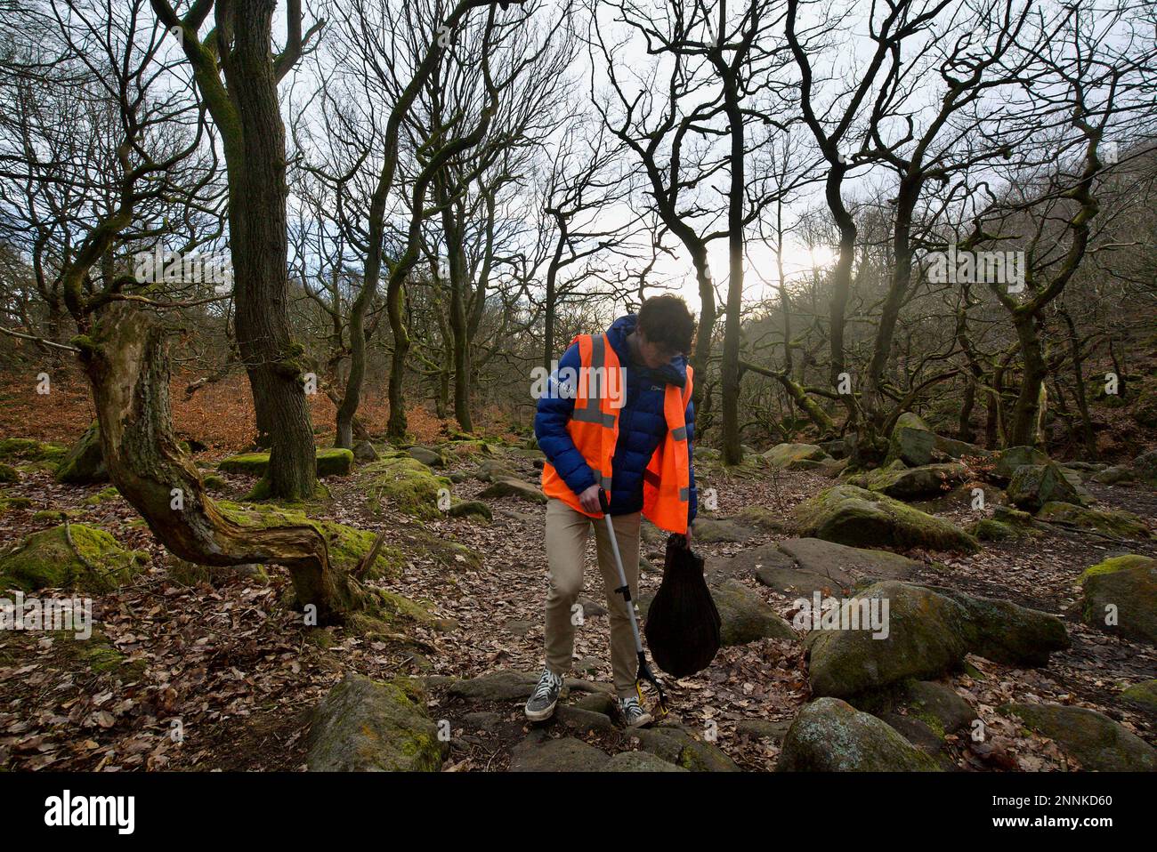 Litter Picker (Male/Man) picking up litter in a woodland / woods at ...